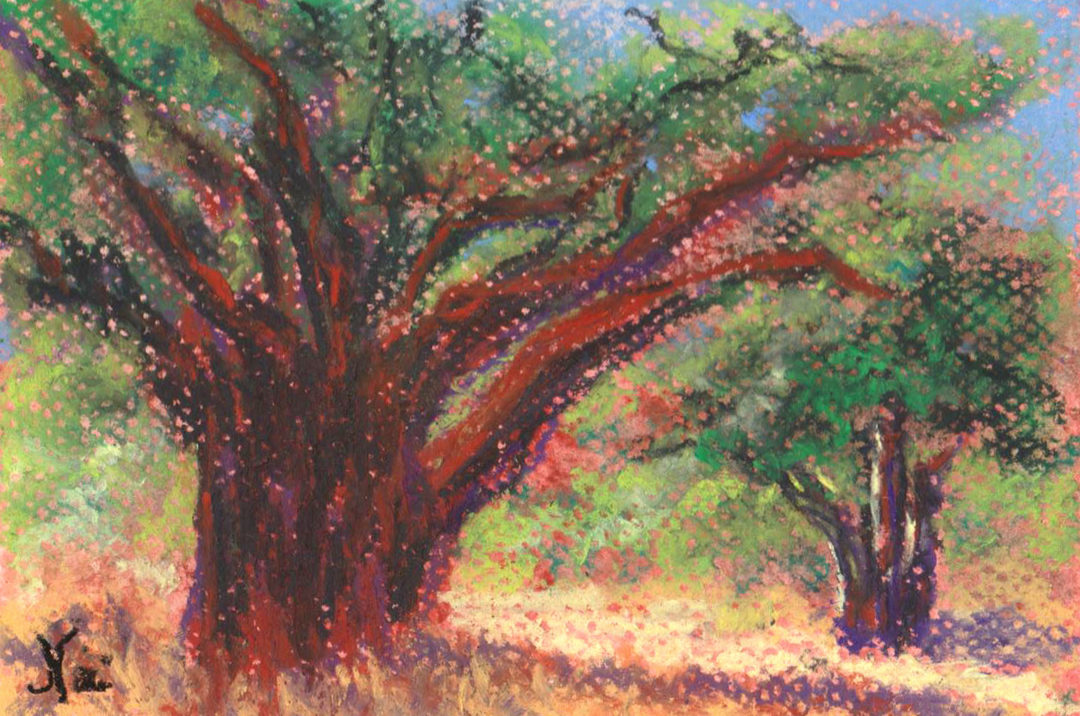 Original Pastel Oak Tree Impressionism Art on Paper - Pastel on paper ...