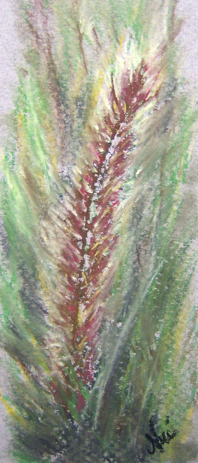 soft pastel feather plant grass original impressionism artwork - pastel ...